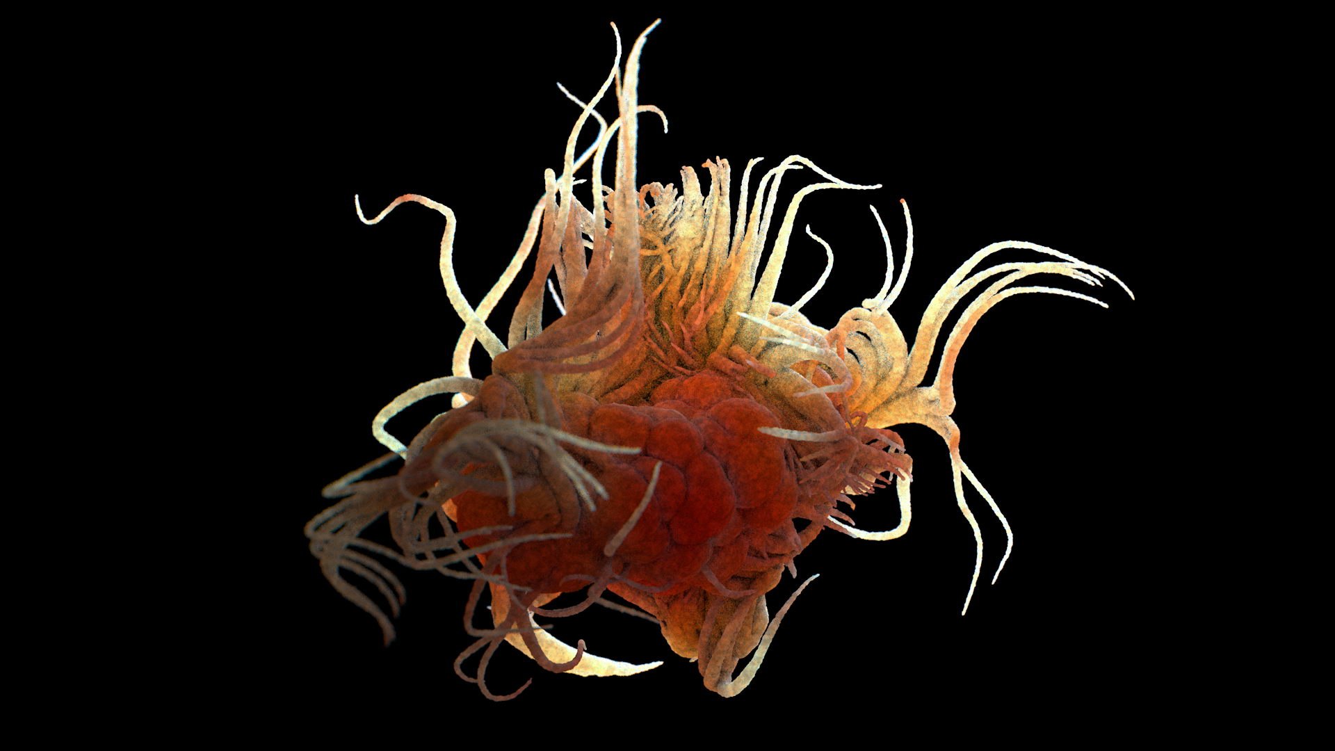 3d Evil Cell Organism