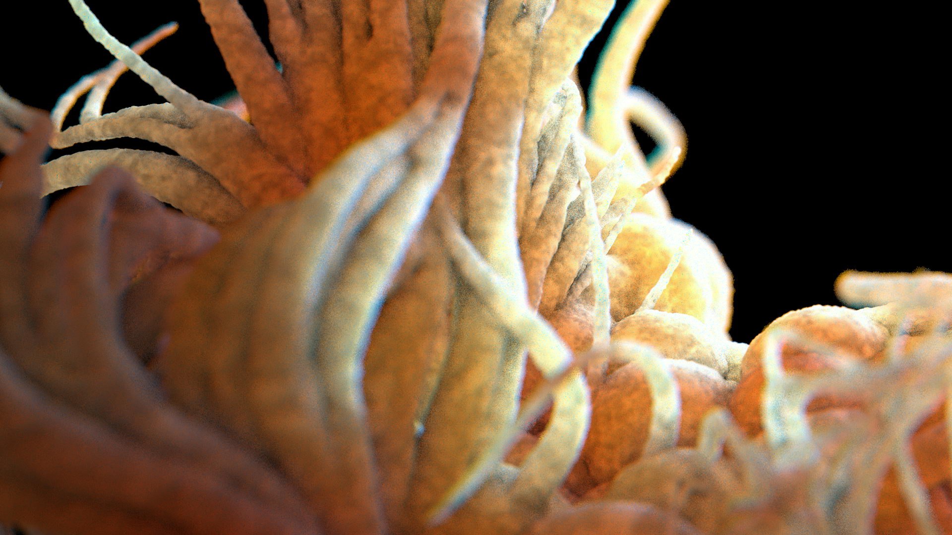 3d Evil Cell Organism