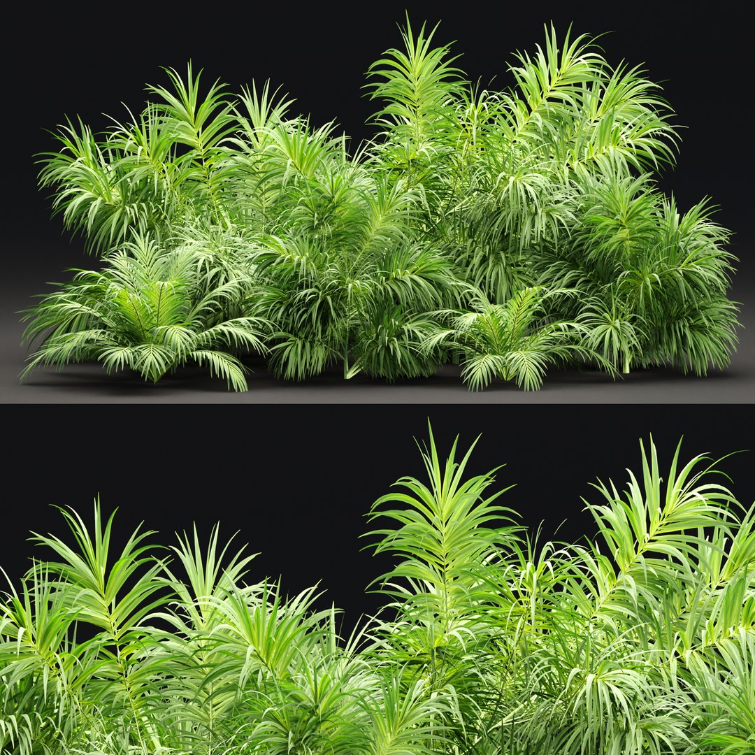 3D Plants Collection Vol 237-Blender-3dmodel - TurboSquid 2213779