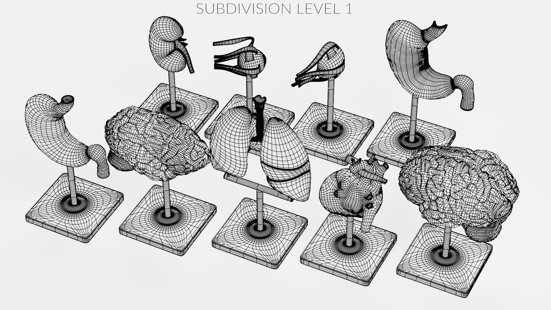 3D Anatomy Models - TurboSquid 2026893