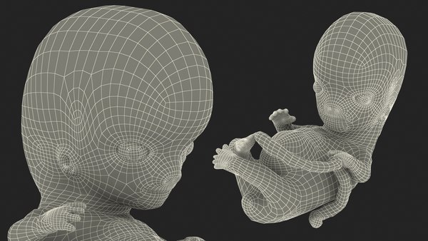 Human embryo 8 weeks 3D model - TurboSquid 1661247