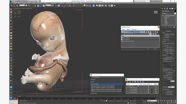 Human embryo 8 weeks 3D model - TurboSquid 1661247