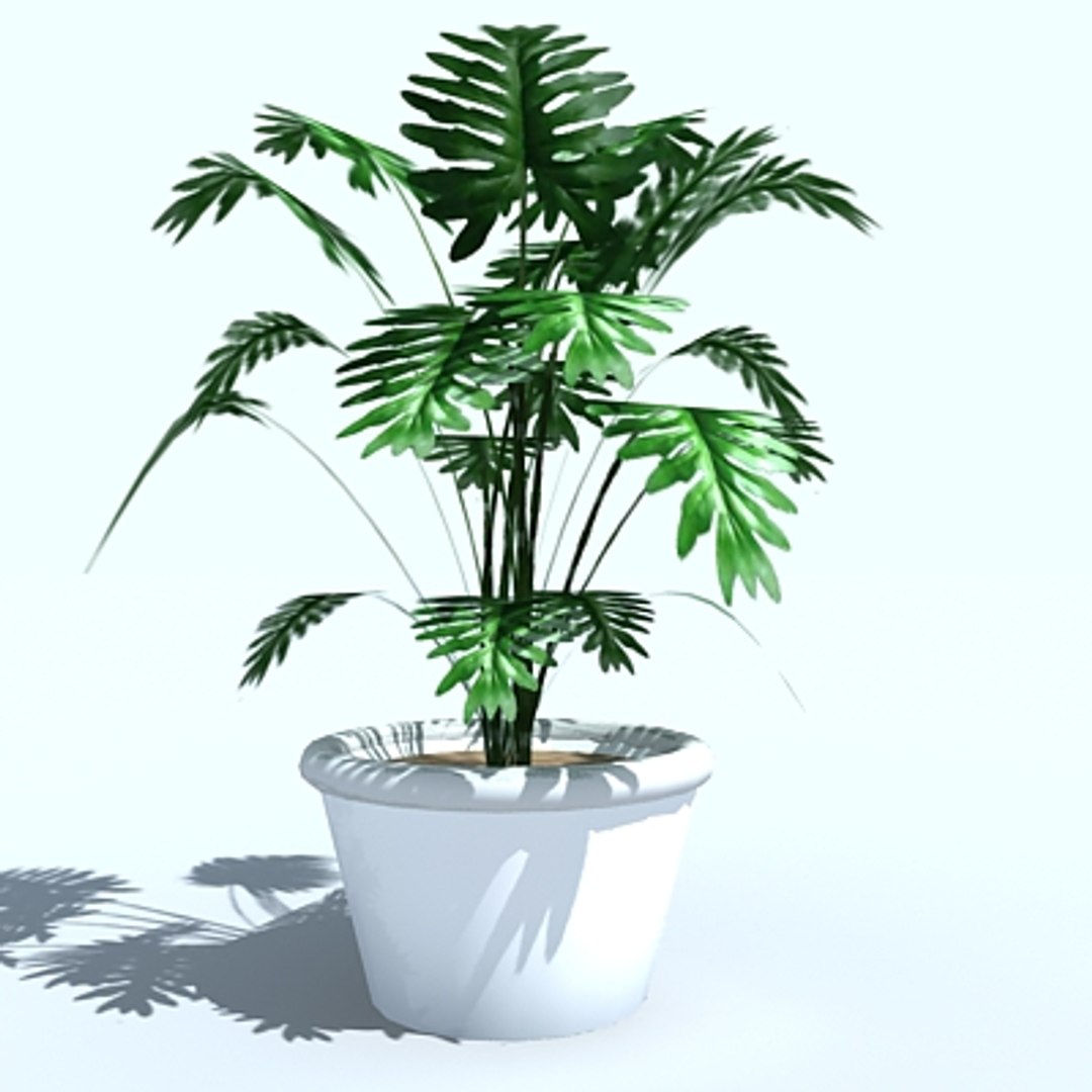Plant Pot 3d Model