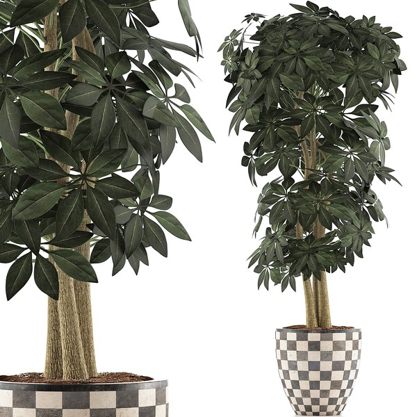 植物收藏 793D模型 - TurboSquid 1623719