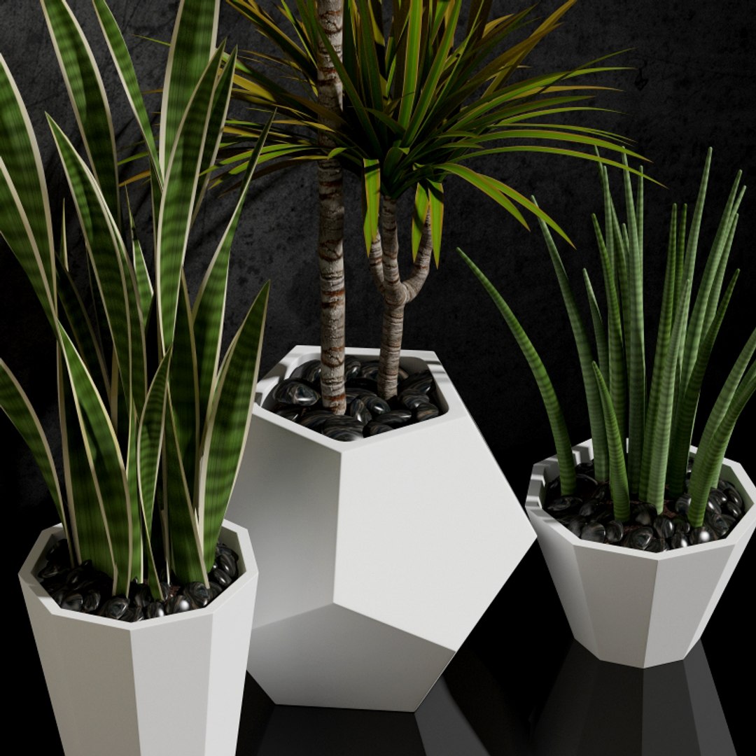 3d Model Plants