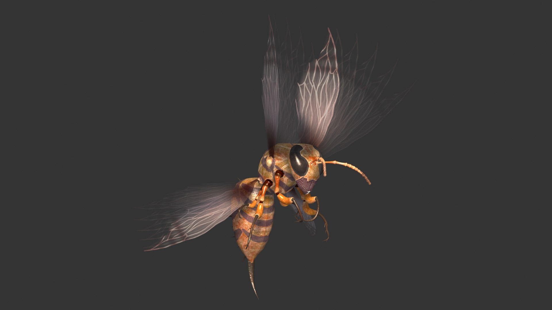 3D Animated Bee - TurboSquid 2156284