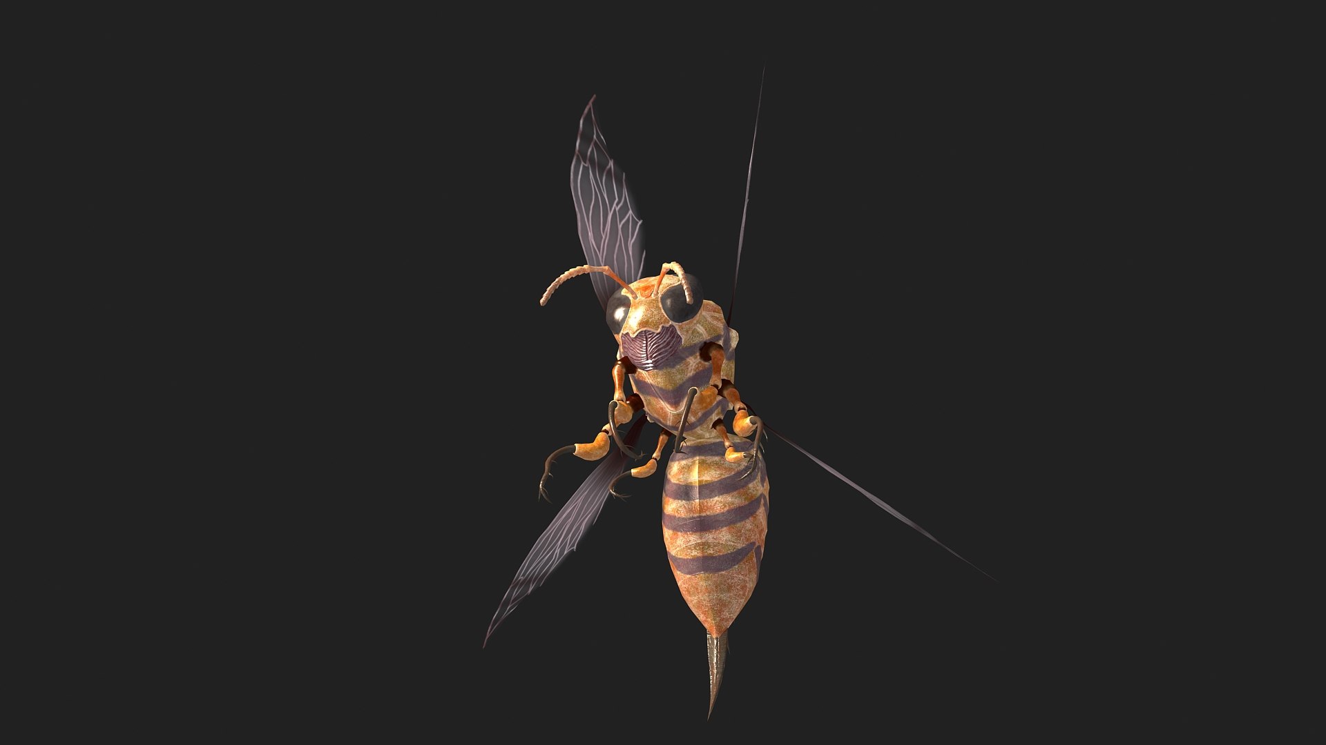 3D Animated Bee - TurboSquid 2156284