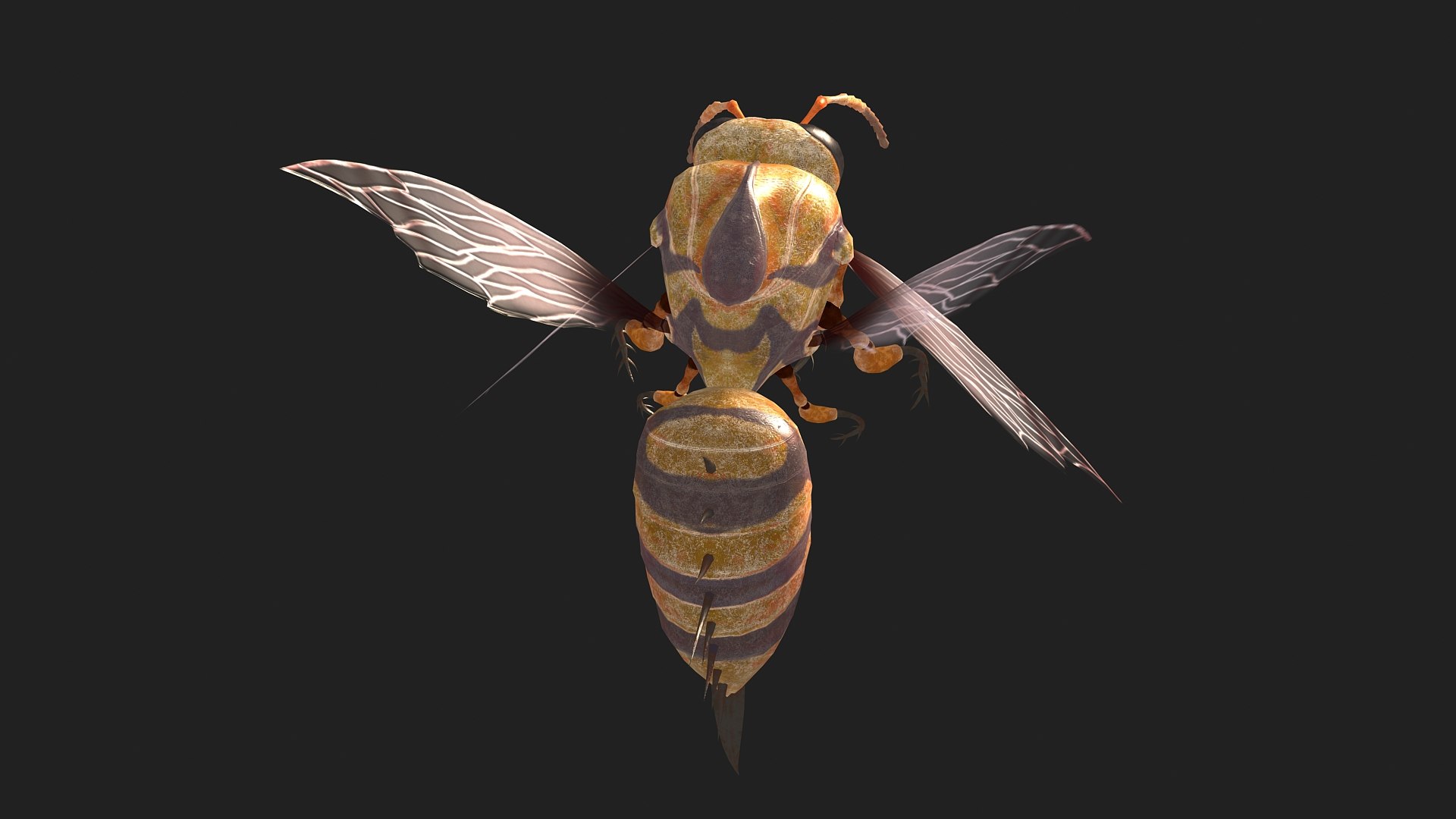 3D Animated Bee - TurboSquid 2156284