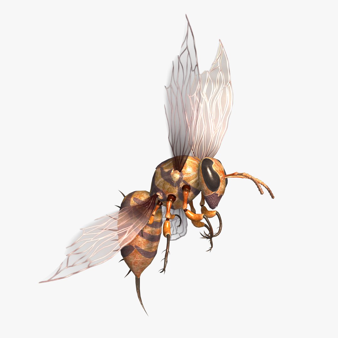 3D Animated Bee - TurboSquid 2156284