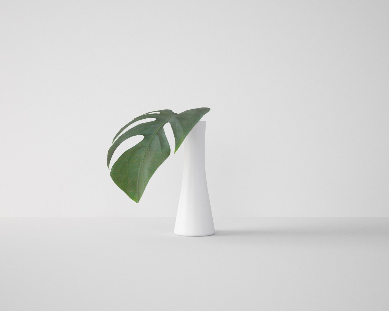 3D Monstera Leaf - TurboSquid 1275589