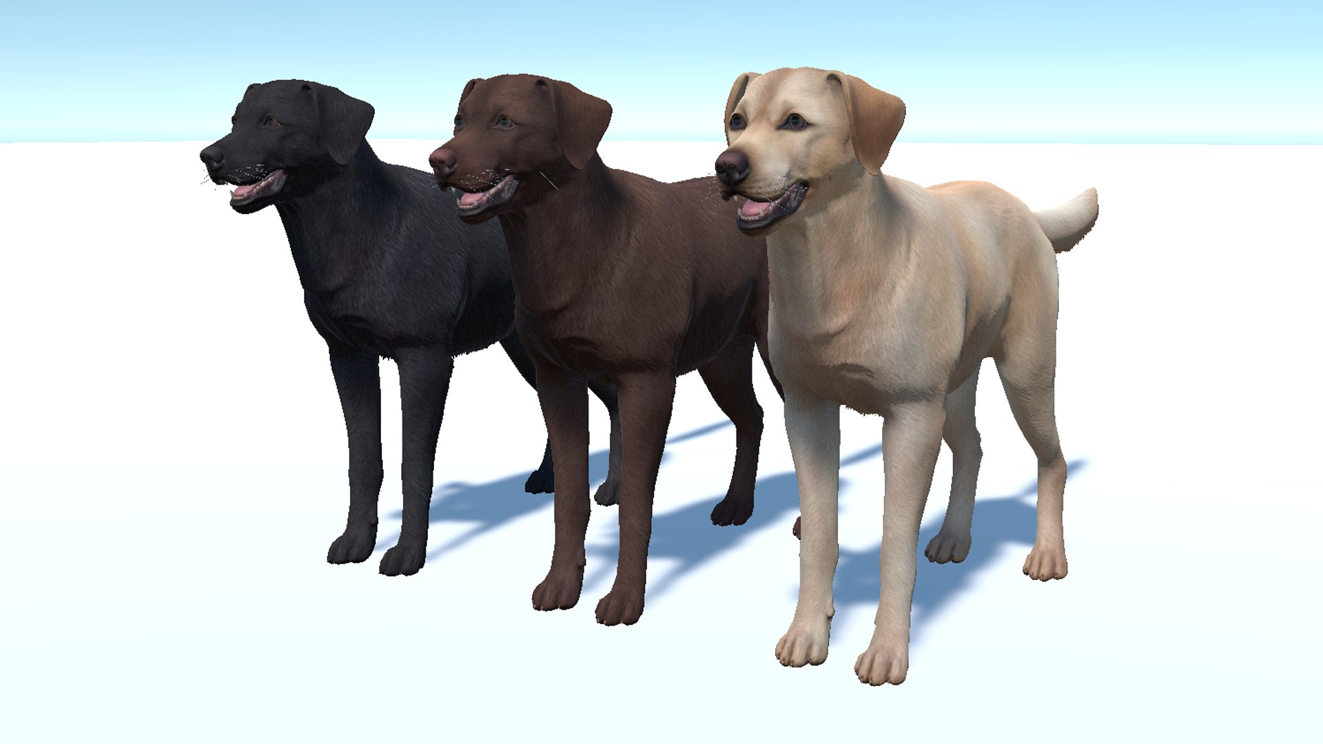 3D model Dog - Labrador - TurboSquid 1939269