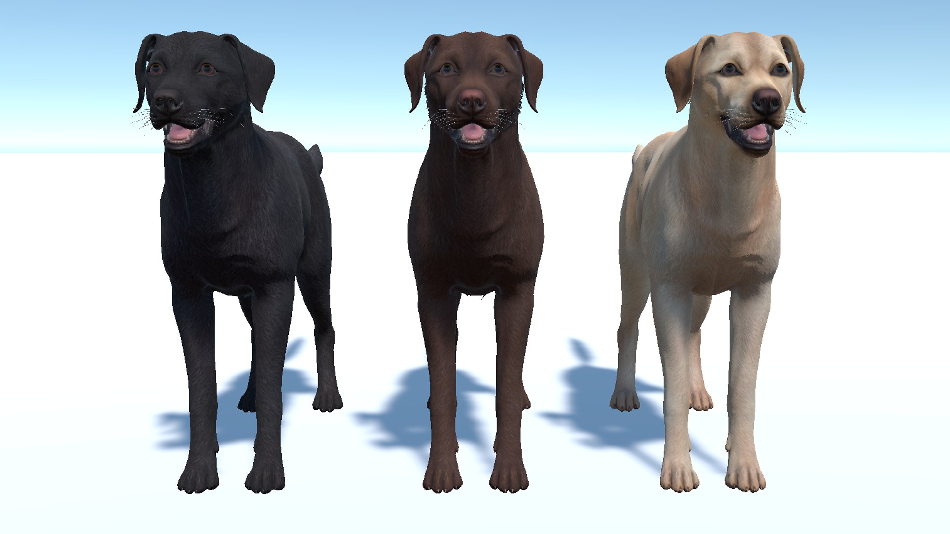 3D model Dog - Labrador - TurboSquid 1939269