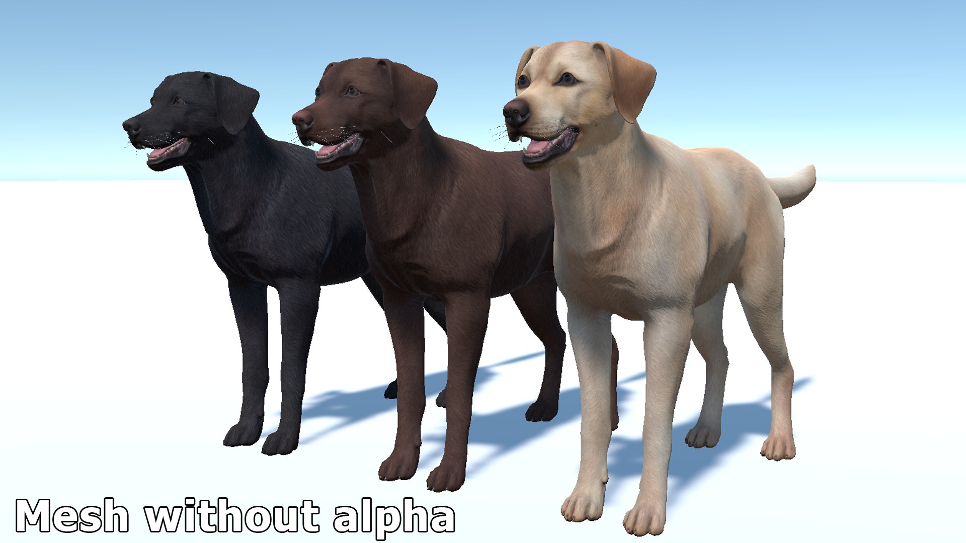 3D model Dog - Labrador - TurboSquid 1939269