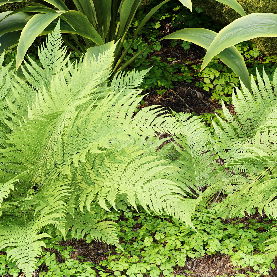 3D Low Poly Garden Asset Collection Vol 216 - TurboSquid 2079834