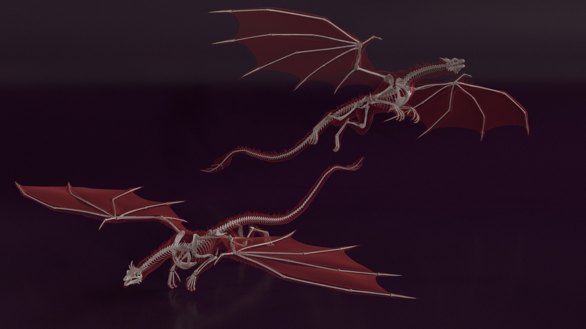 Flying Pose Dragon Skeleton In Transparent Shell 3D Model - TurboSquid ...