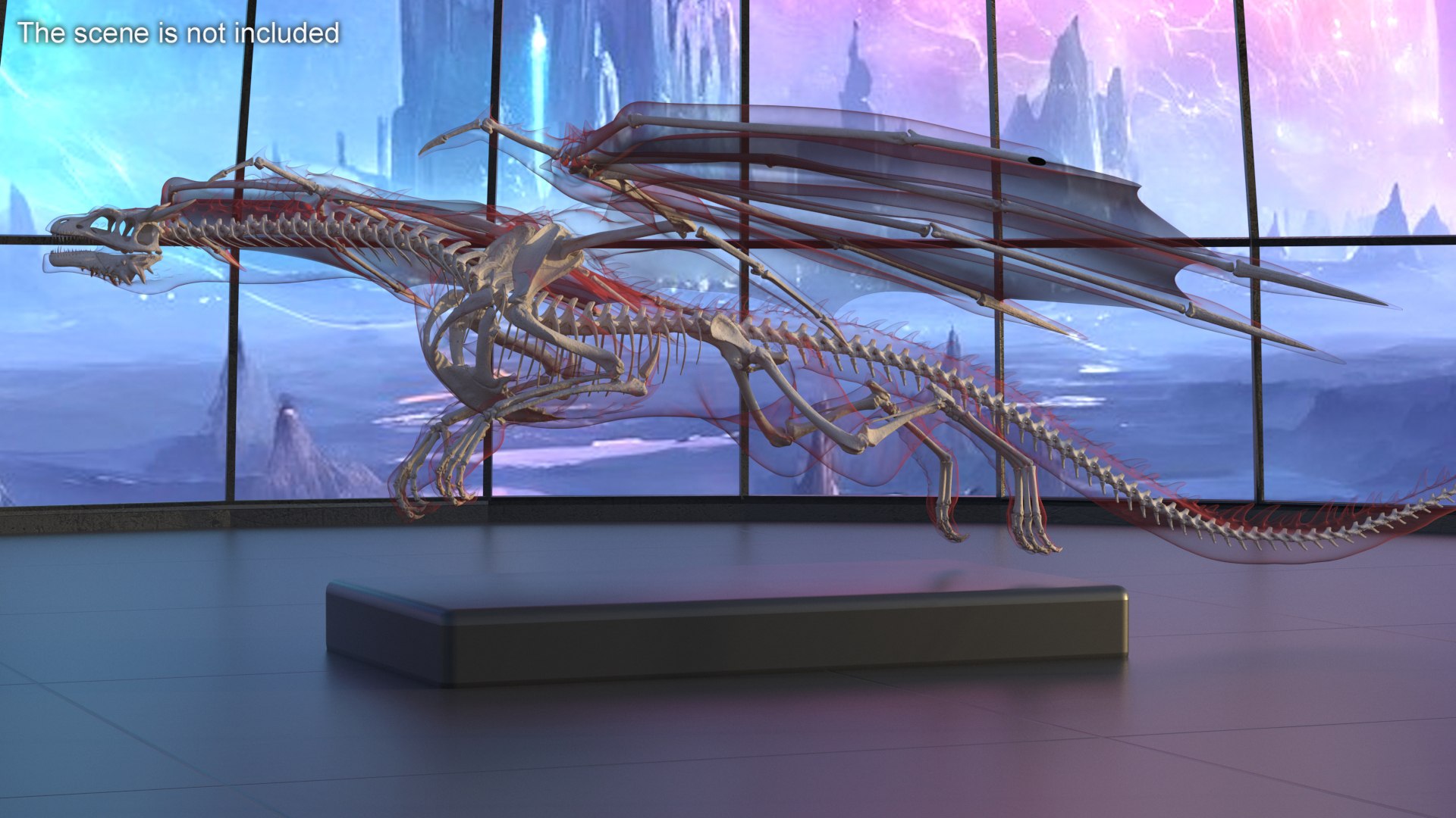 Flying Pose Dragon Skeleton In Transparent Shell 3D Model - TurboSquid ...