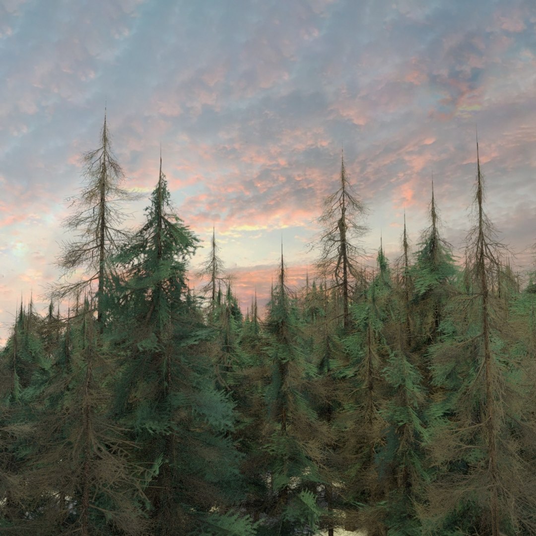 3D Tall American Pine Trees Model - TurboSquid 1331547