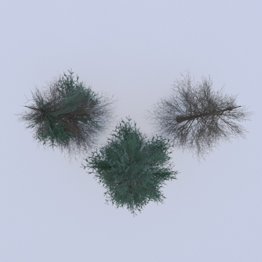 3D Tall American Pine Trees Model - TurboSquid 1331547
