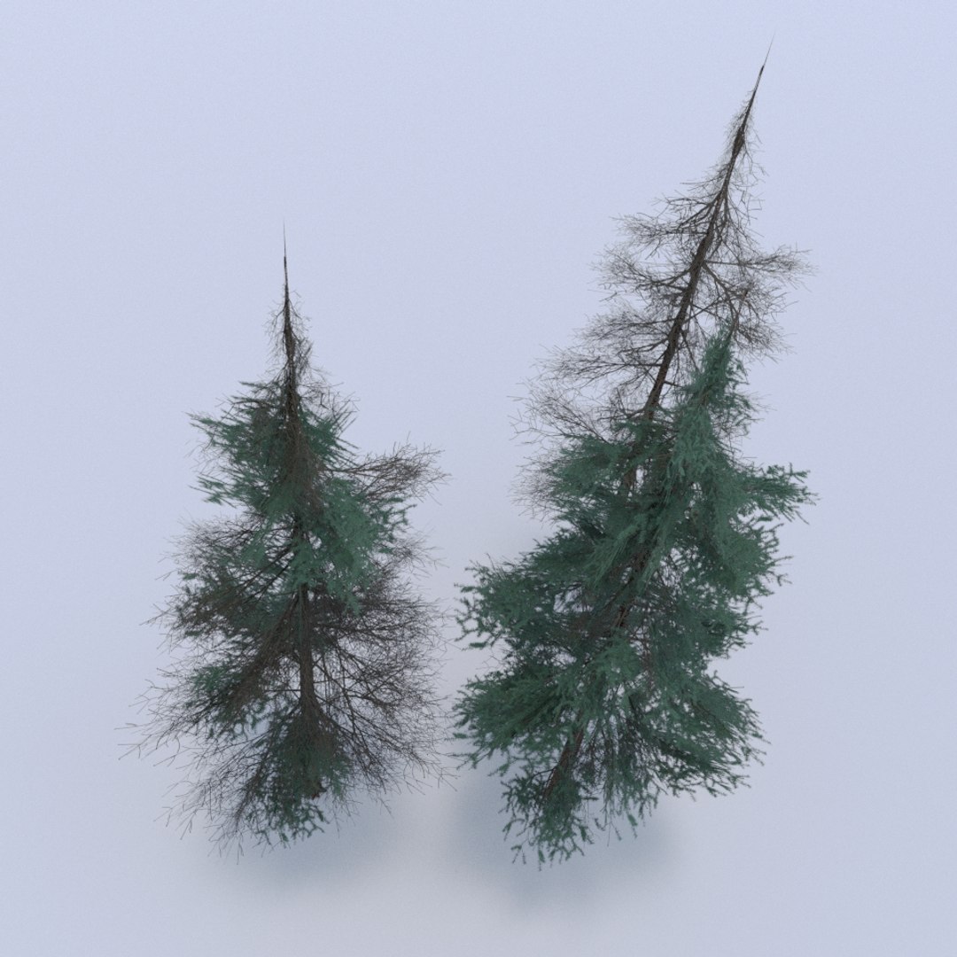 3D Tall American Pine Trees Model - TurboSquid 1331547