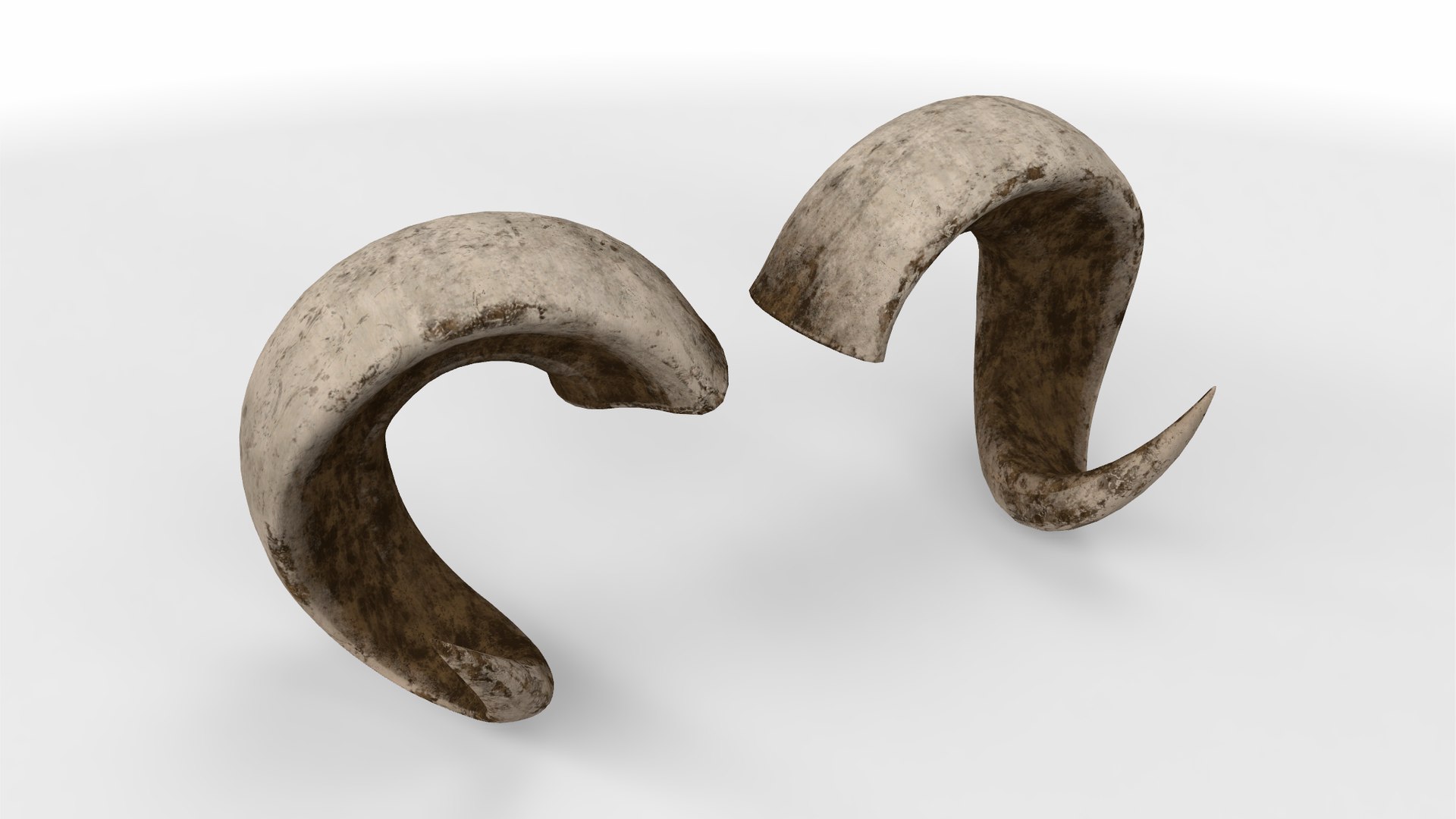 3D Rolled Horns Model - TurboSquid 2304413