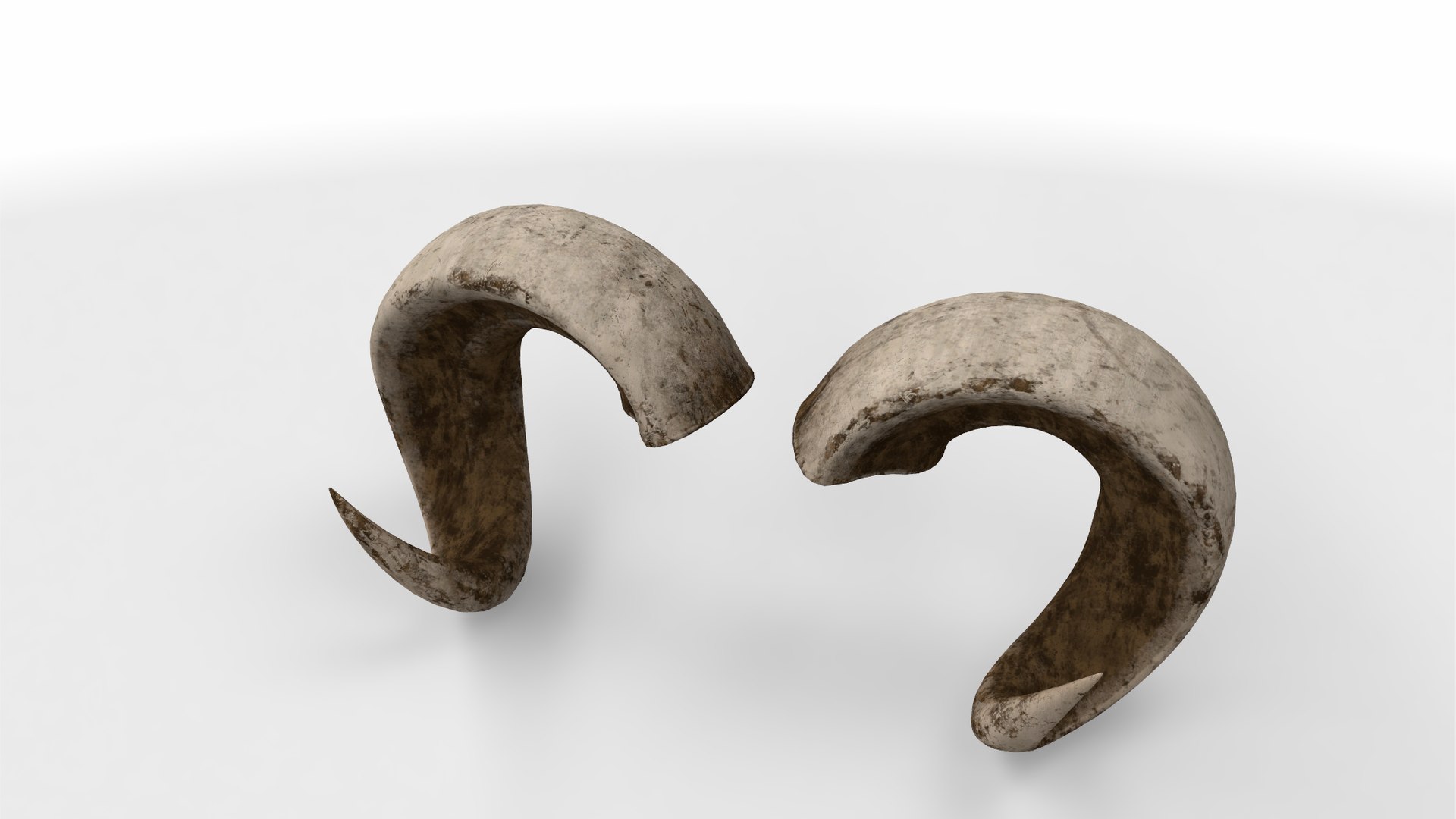 3D Rolled Horns Model - TurboSquid 2304413