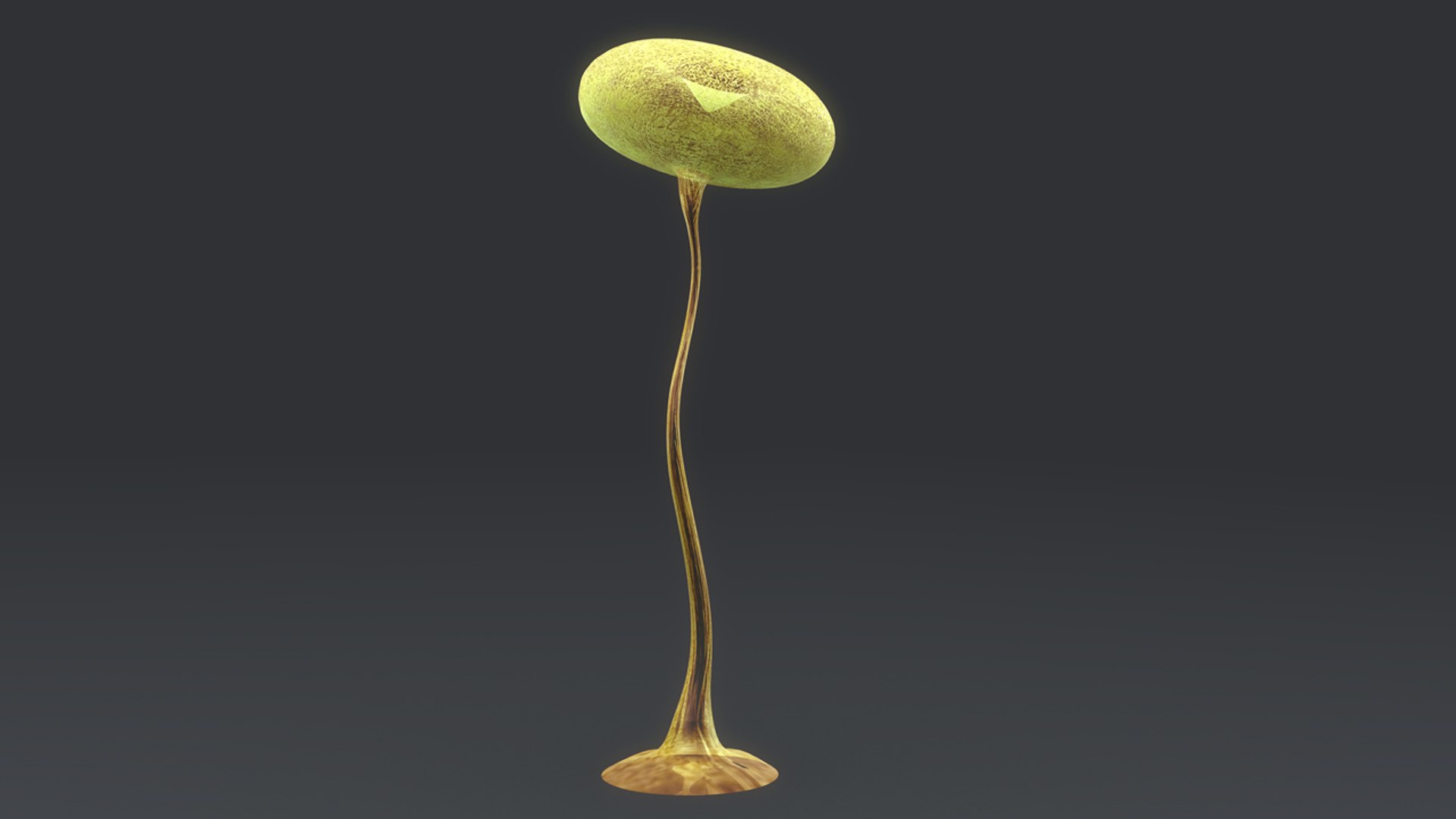 3d Physarum Polycephalum Slime Model