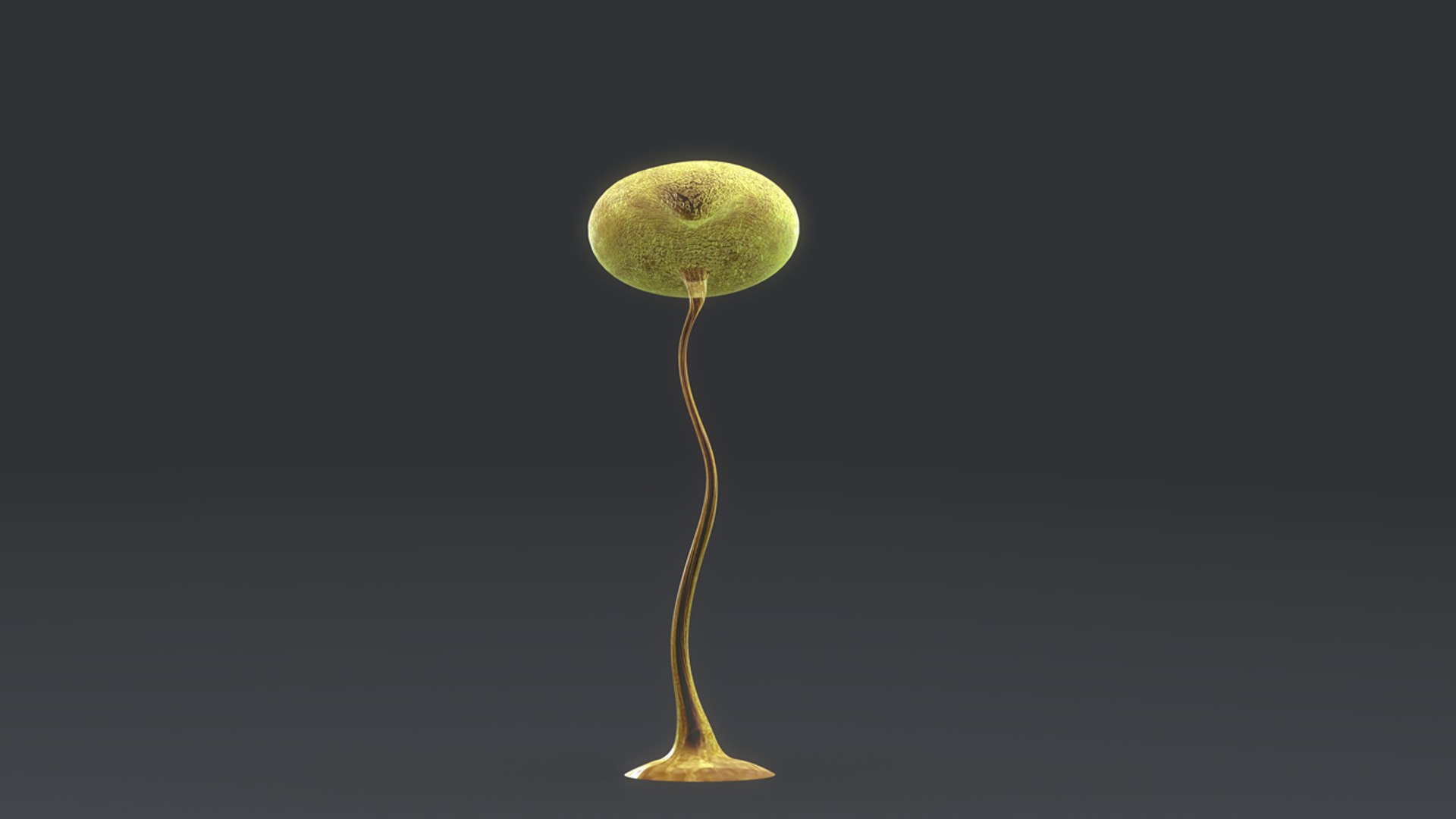3d Physarum Polycephalum Slime Model