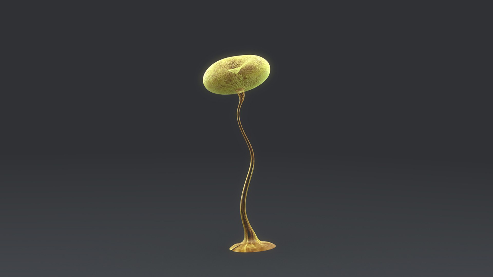 3d Physarum Polycephalum Slime Model