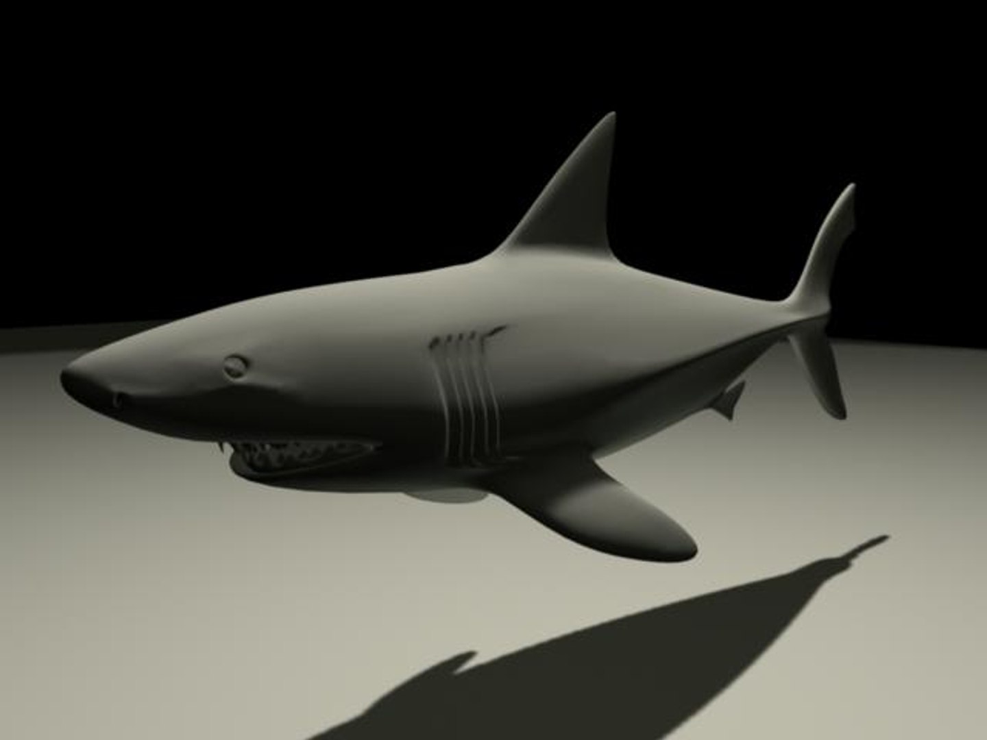 3d Shark