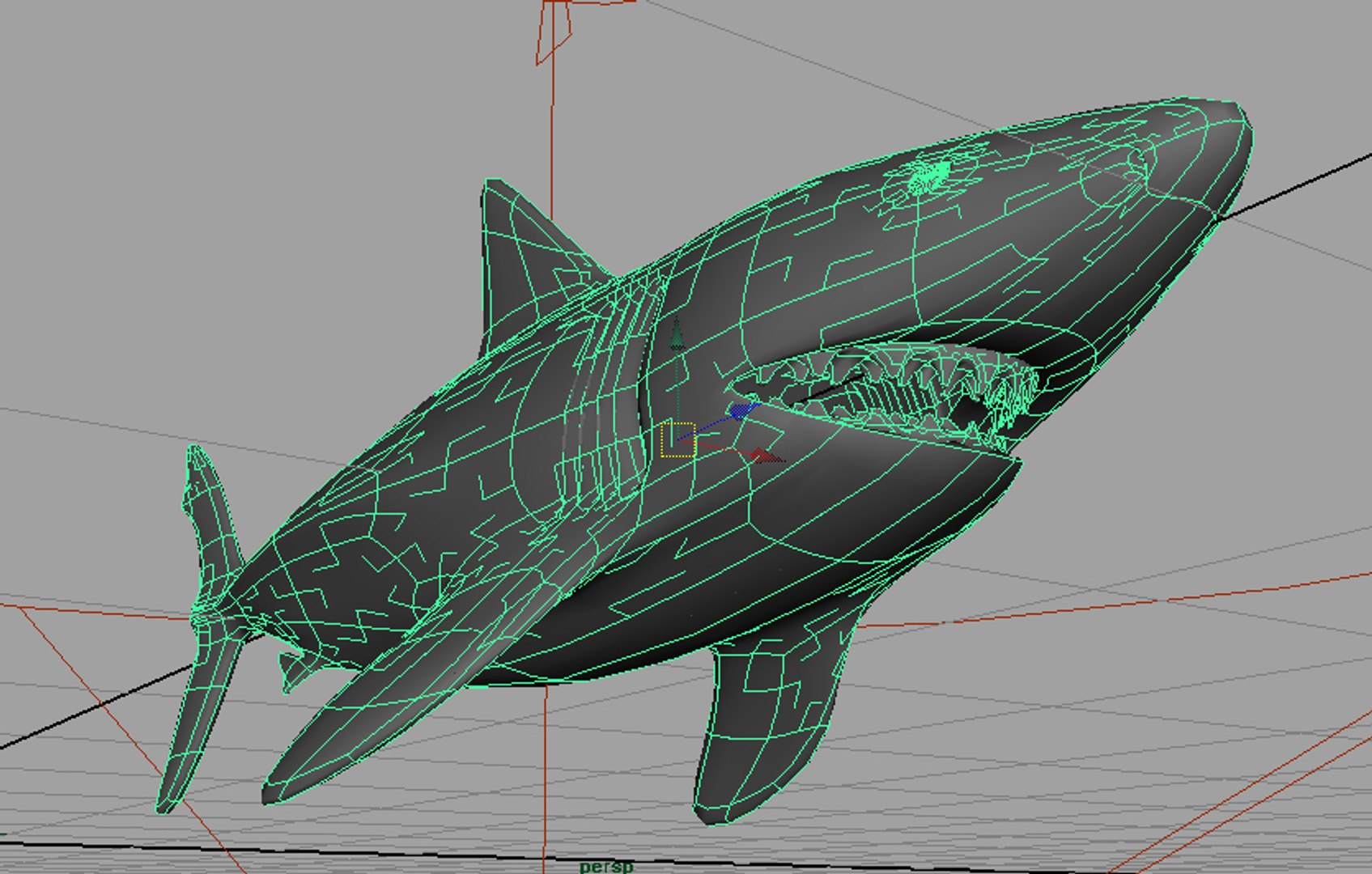 3d Shark