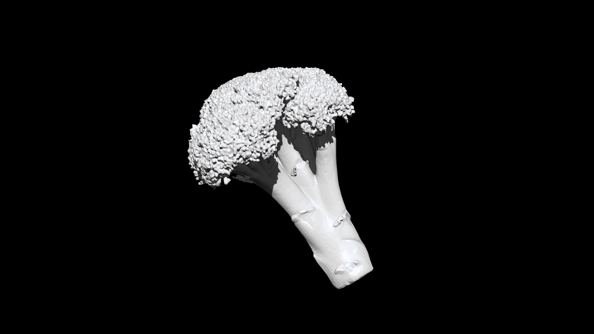 3D Broccoli Cut 3D CT Scan Model 1 Decimate 10percent Model ...