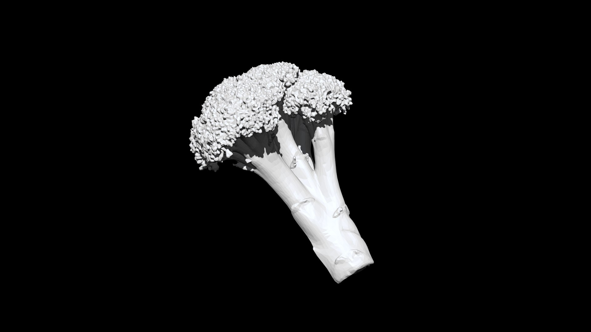 3D Broccoli Cut 3D CT Scan Model 1 Decimate 10percent Model ...