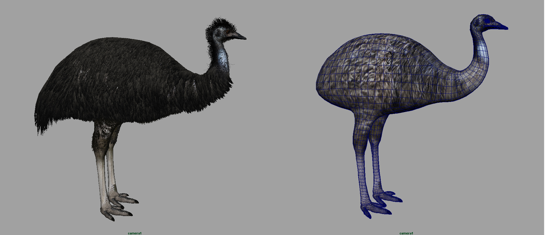 Emu 3D - TurboSquid 1167980