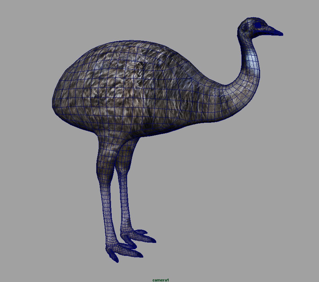 Emu 3D - TurboSquid 1167980