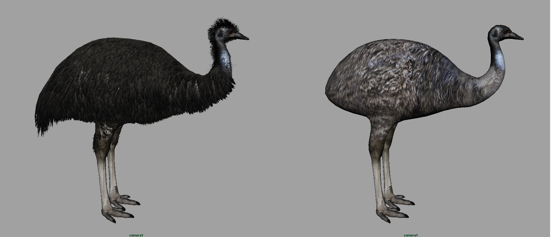 Emu 3D - TurboSquid 1167980