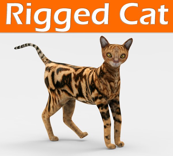 Kitten 3ds Max Models for Download | TurboSquid