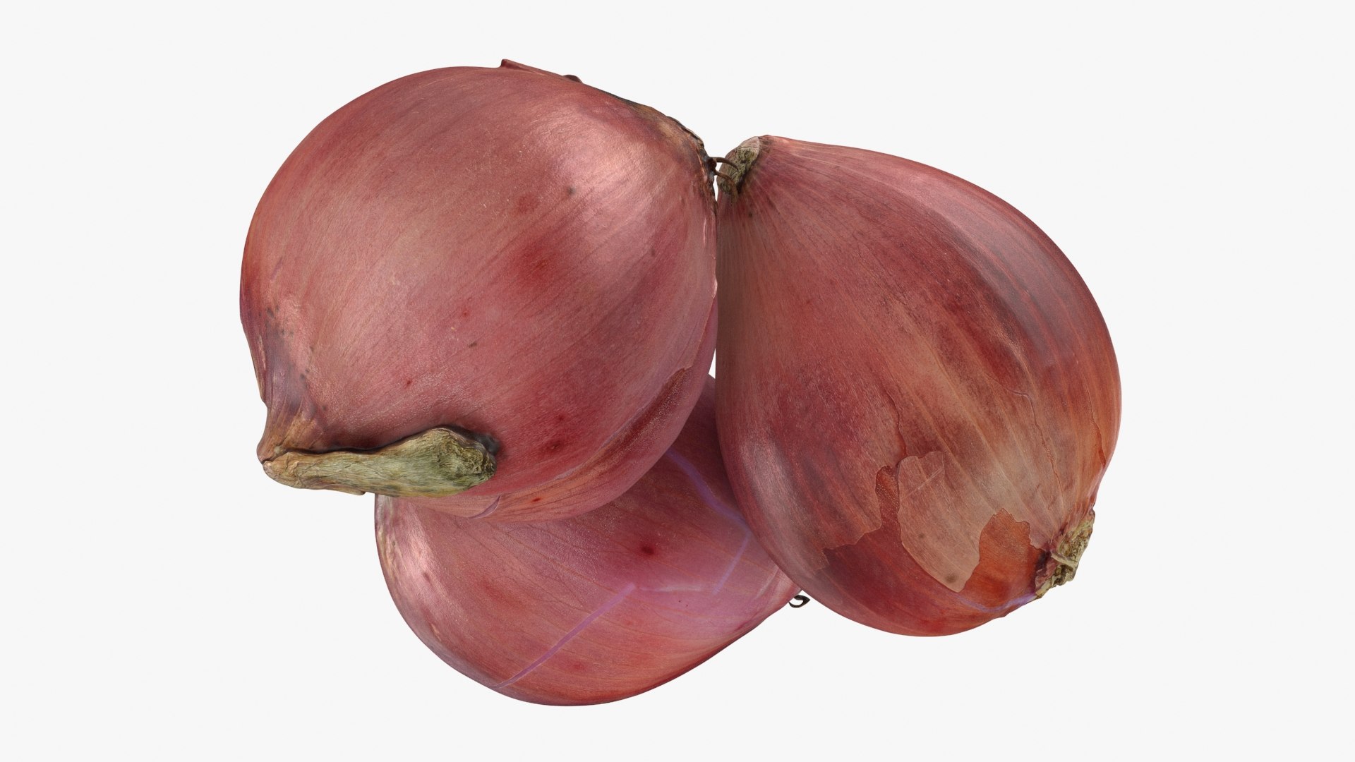 Red Onions 2 3D Model - TurboSquid 2184876