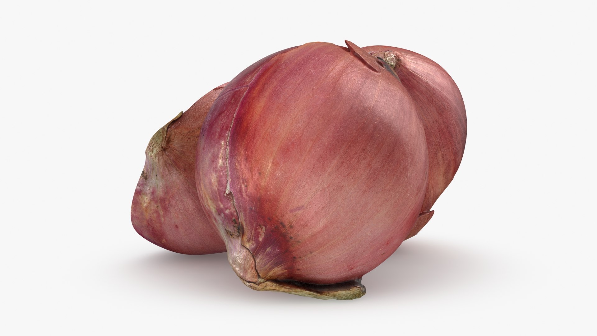 Red Onions 2 3D Model - TurboSquid 2184876