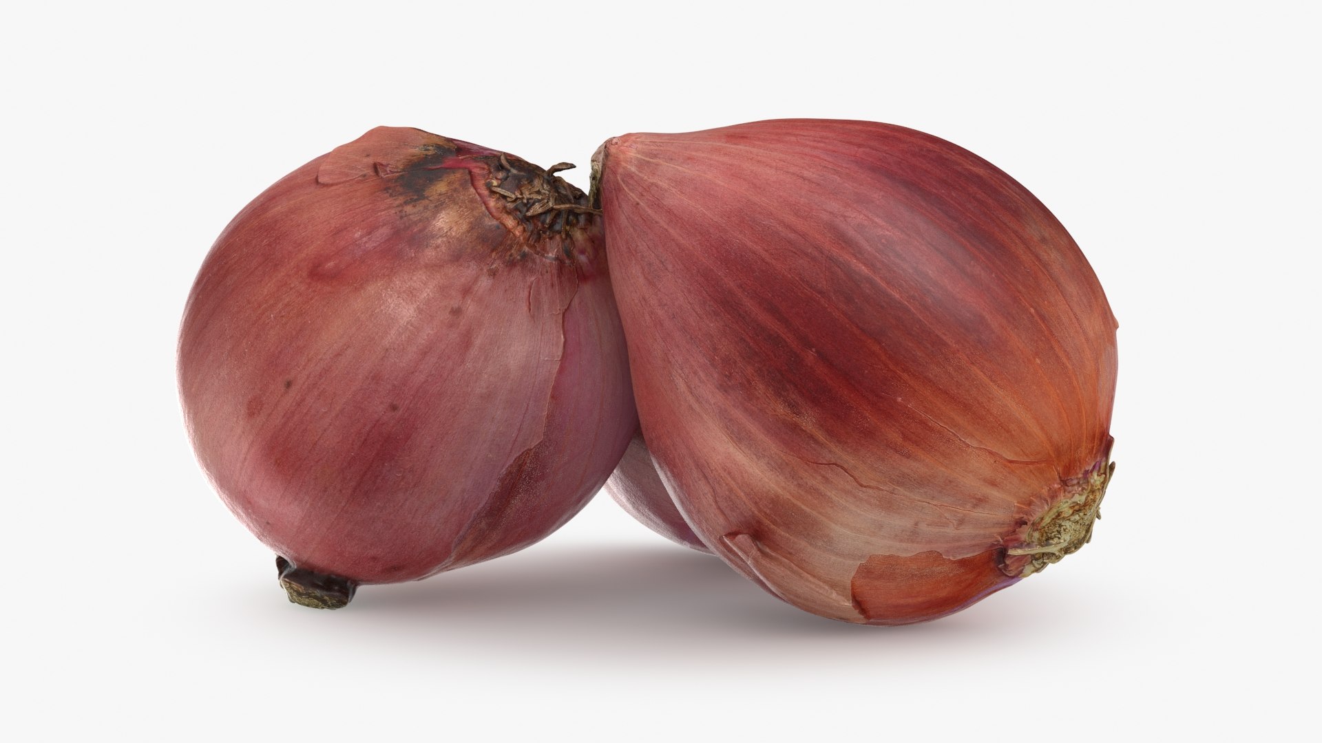 Red Onions 2 3D Model - TurboSquid 2184876