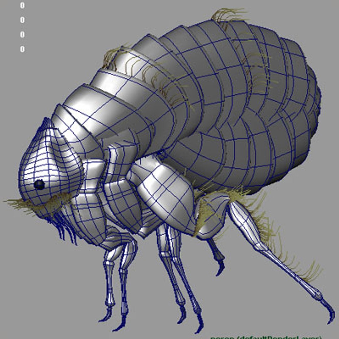 Parasite Jump 3d Model