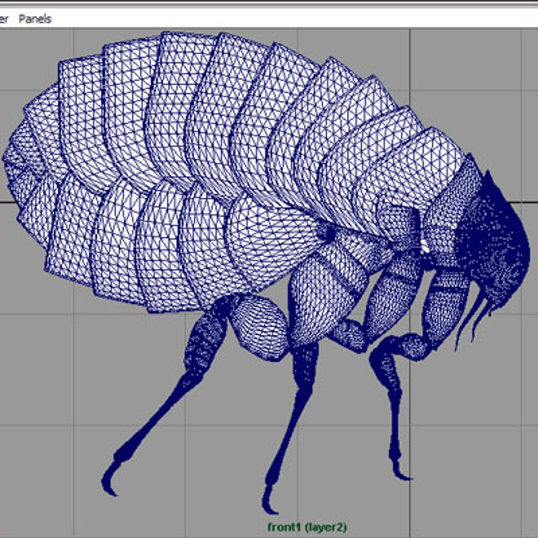Parasite Jump 3d Model