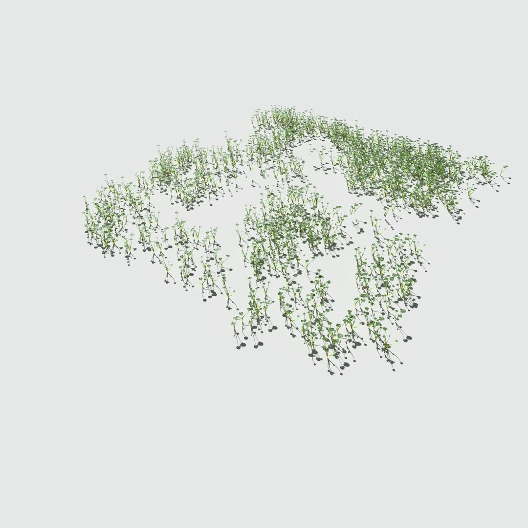 Meadow Patch Grass 3D Model - TurboSquid 1459999