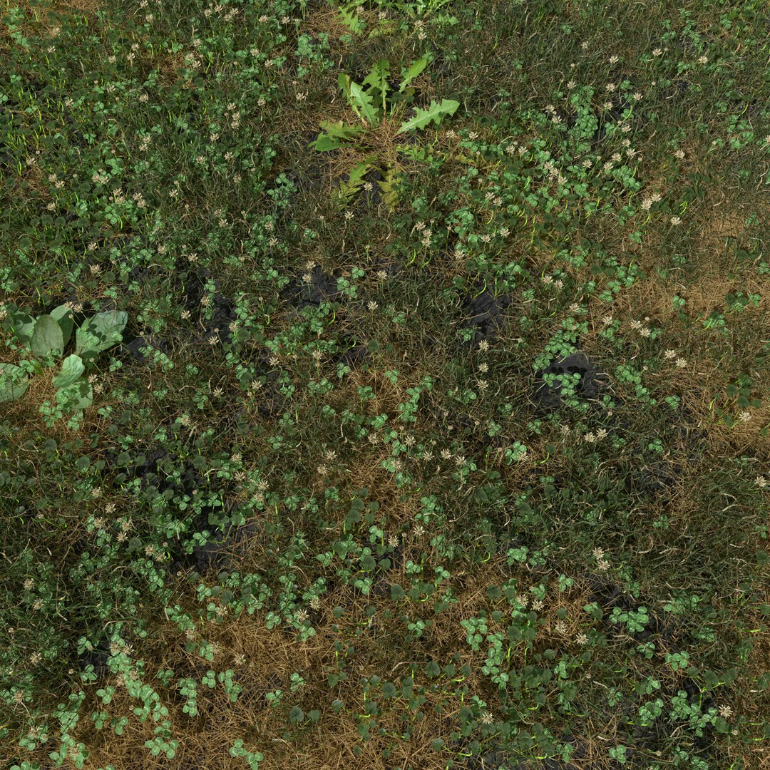 Meadow patch grass 3D model - TurboSquid 1459999