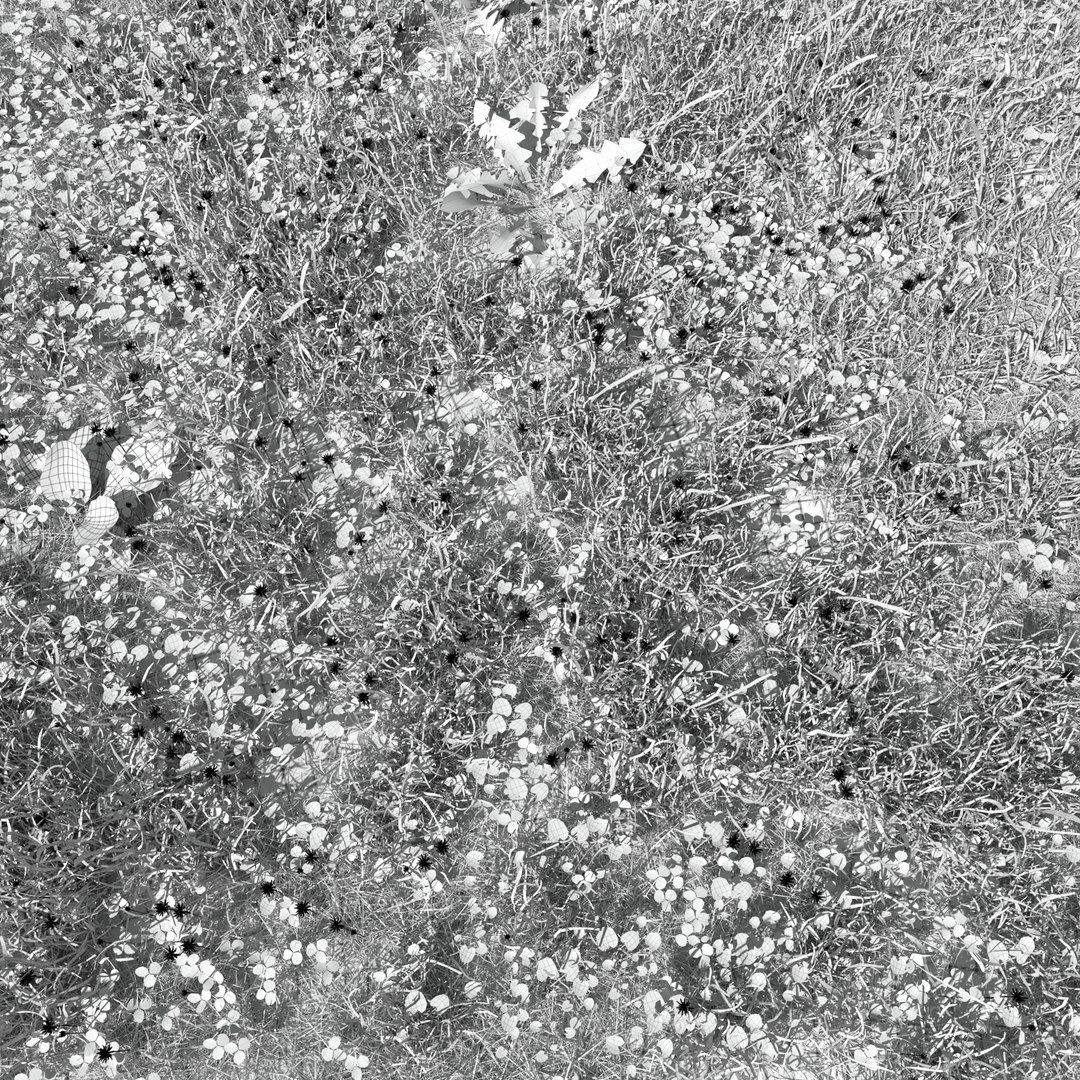 Meadow patch grass 3D model - TurboSquid 1459999