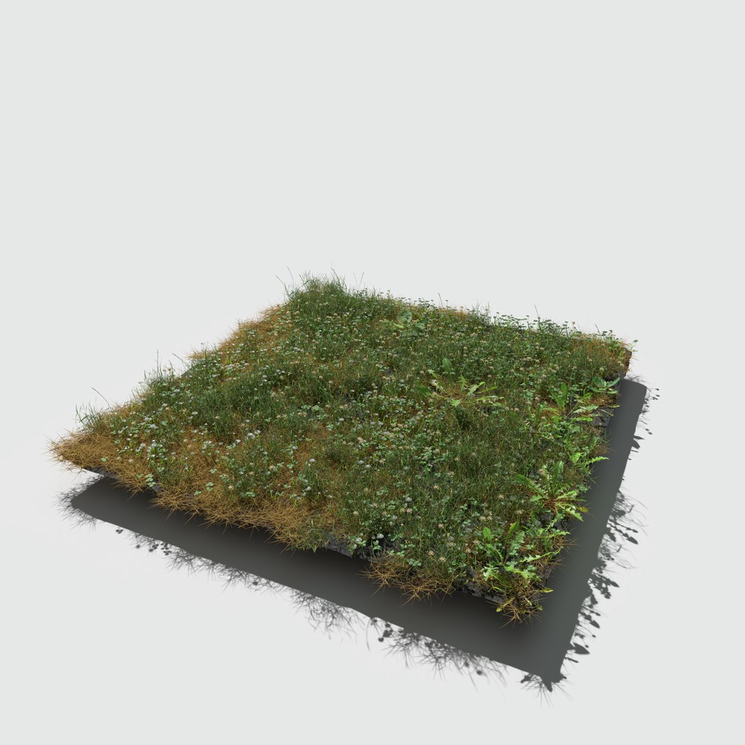 Meadow Patch Grass 3D Model - TurboSquid 1459999