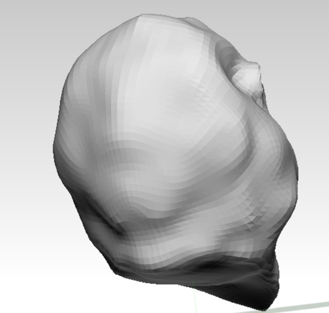 Lion Head Base Mesh 3d Model