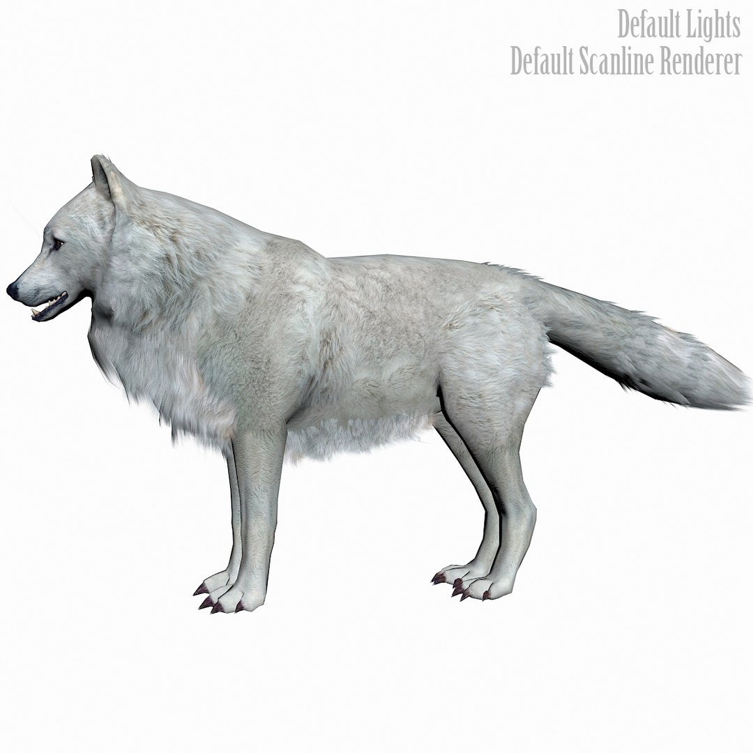 Arctic Wolf X