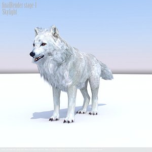 3D Arctic Wolf Models - Browse & Download Formats - TurboSquid