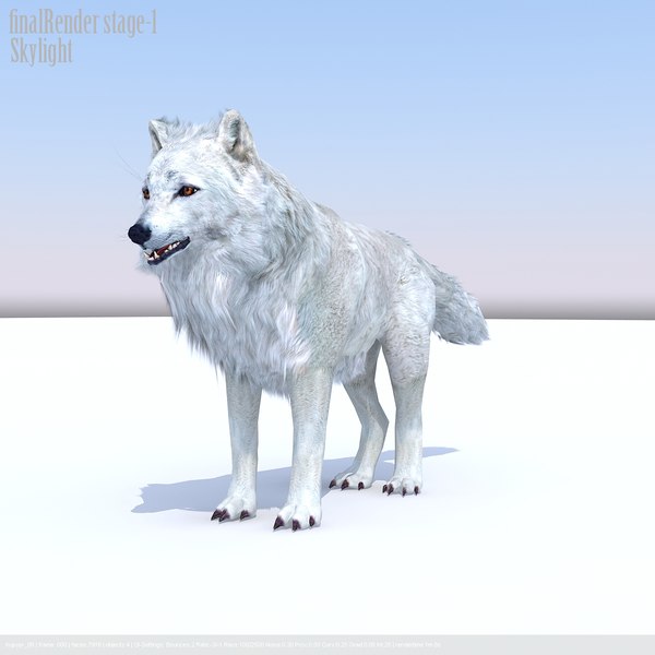 Arctic Wolf 3D Models for Download | TurboSquid