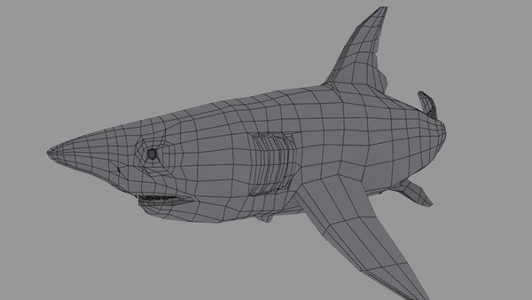 3d shark model